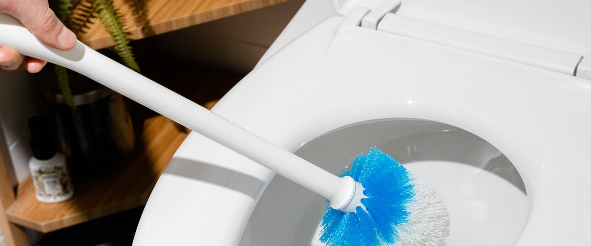 Maintaining your Toilet: A Comprehensive Guide